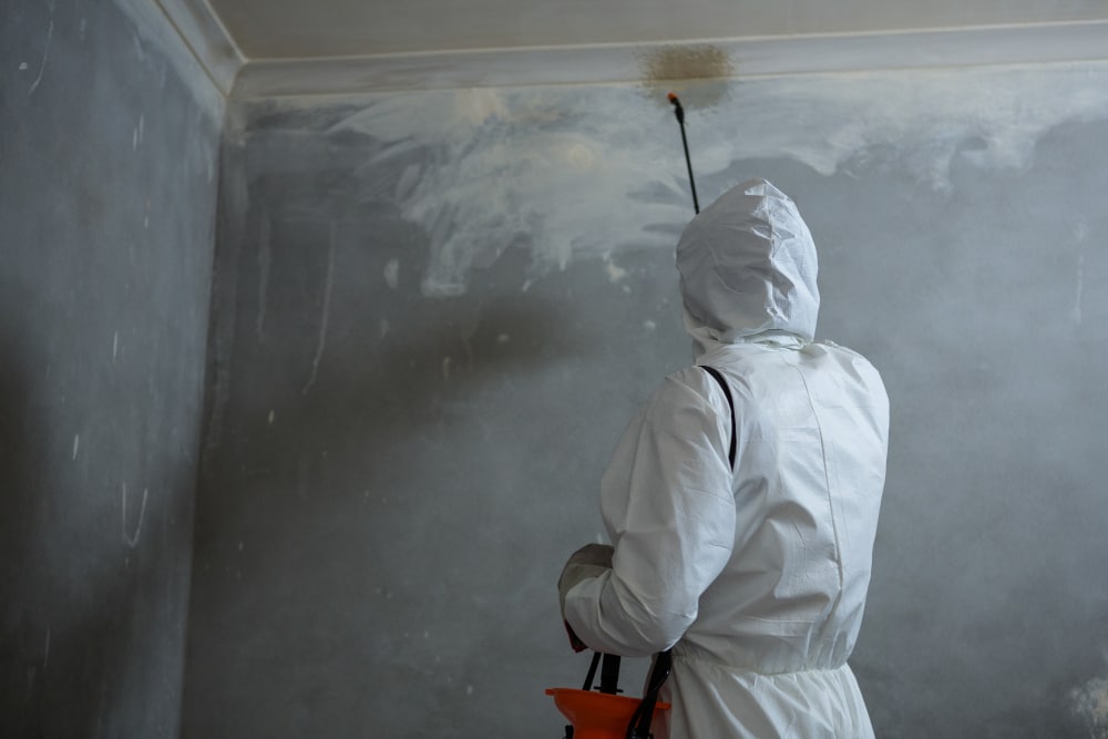 Signs of Mold Damage in Office Buildings